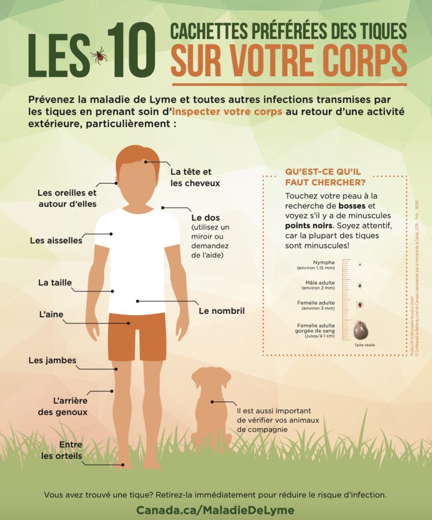 Tout savoir sur les tiques pour mieux s’en protéger en randonnée ...