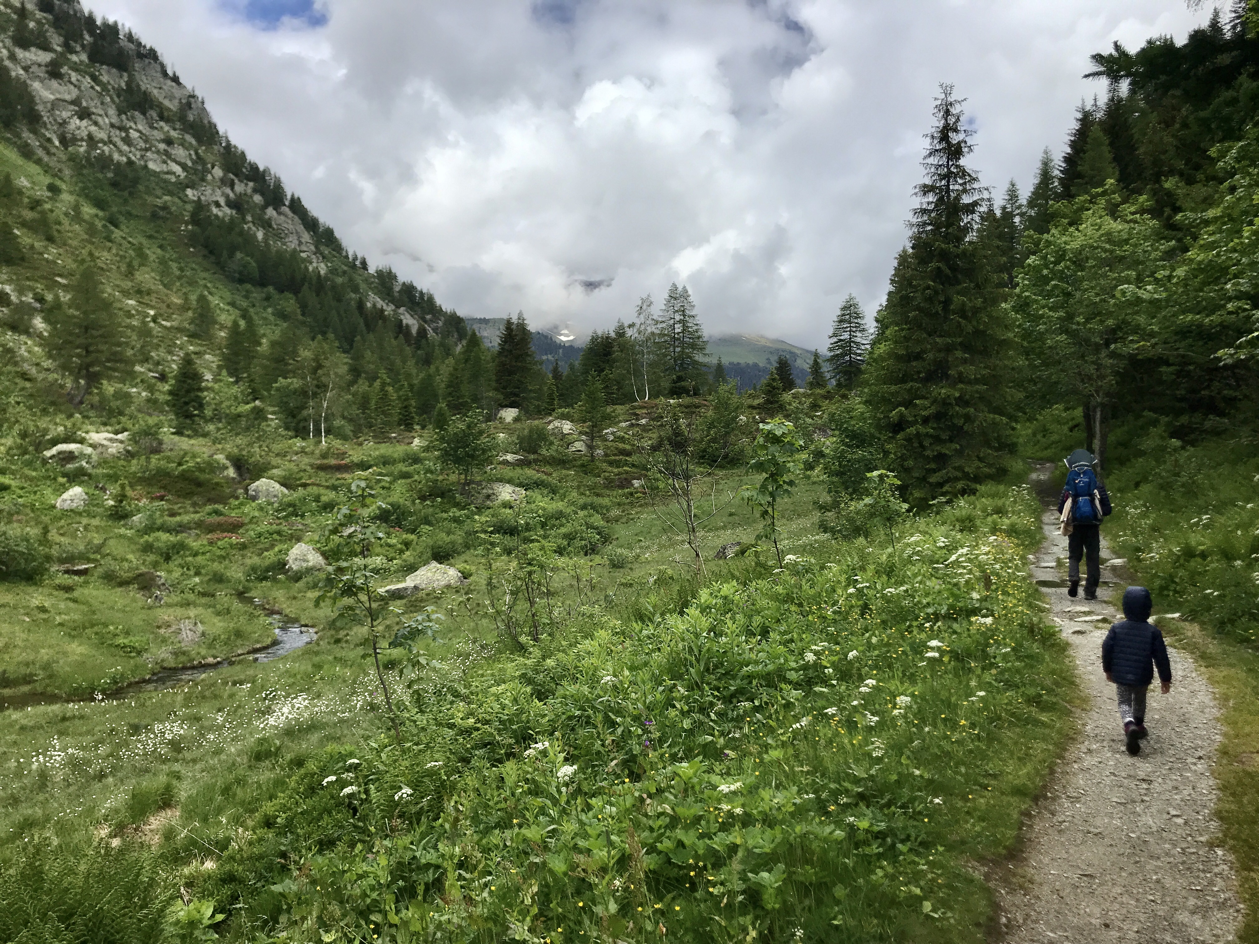 Sentier botanique dans la Réserve Naturelle des Aiguilles Rouges ...